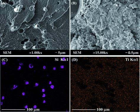 Sem And Eds Photos Of Nylon 10t 66 Tio2 Gf Download Scientific Diagram