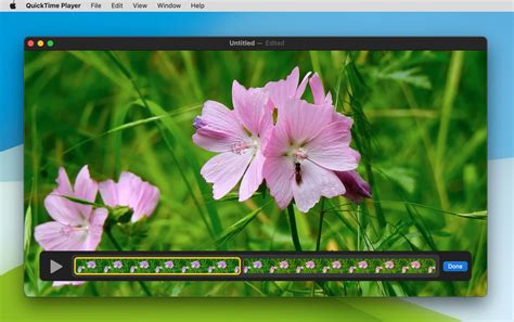 Things You Can Do With QuickTime Player On Mac