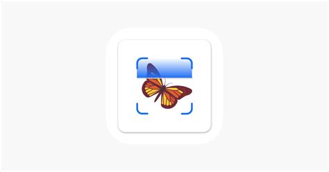 ‎insect Bug Identifier On The App Store