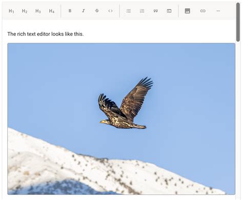 New Feature Classroom Rich Text Editor · Skool Community