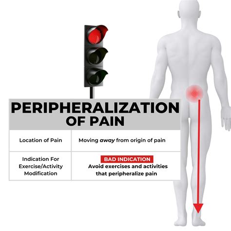 The Prehab Guys Centralization Versus Peripheralization