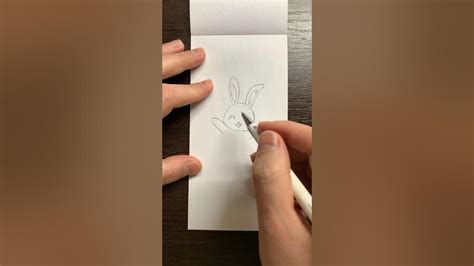 Draw A Bunny 🐰 Drawing Art Draw рисуем зайчика рисуем 画画 Youtube