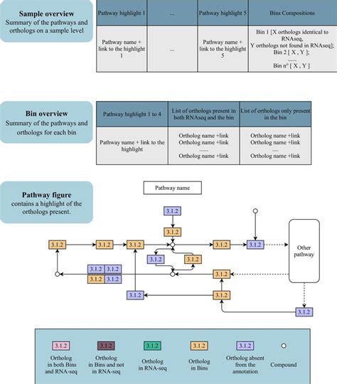 Example Snippets Of The Sub Workflow Results Of Step 3 Annotate Download Scientific Diagram