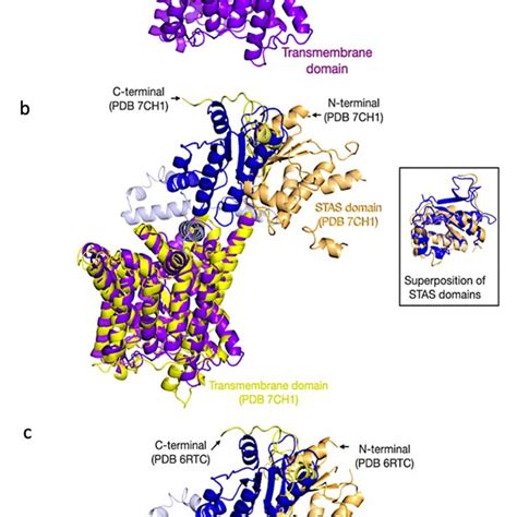 The 3d Model Of Ast68 Trrosetta And Its Homologs A 3d Structure Of Download Scientific