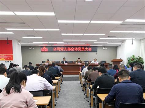 公司党支部召开2019年第一季度全体党员大会 广西建工集团土木工程有限公司