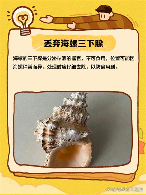 海螺部位图解，哪些不能吃？