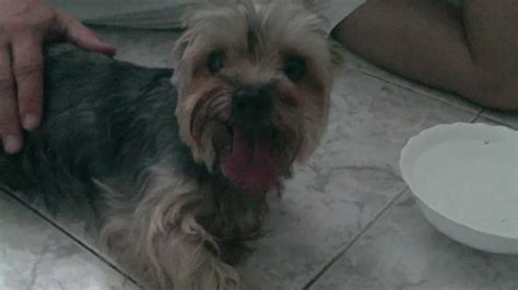 Beni Sex Után Mint A Gép Youtube