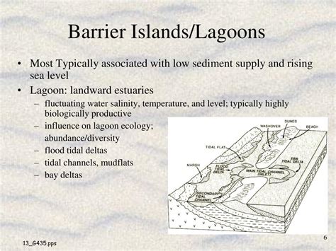 Ppt Paralic Marginal Marine Siliciclastic Depositional Systems Powerpoint Presentation Id