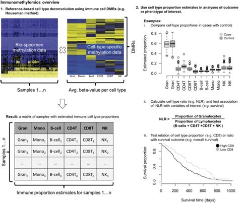 Cell Type Deconvolution From Dna Methylation A Review Of Recent Applications Pmc