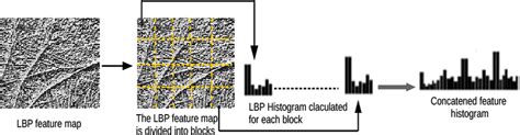 Palmprint Representation Using Lbp Operator Download Scientific Diagram
