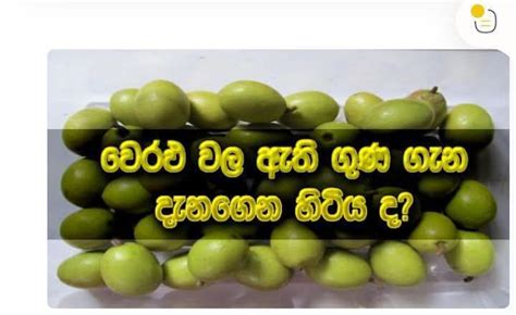 🌏ශාක සහ සත්ව ලෝකය 🎗️වෙරලු වල ඇති ගුණ 🎗️