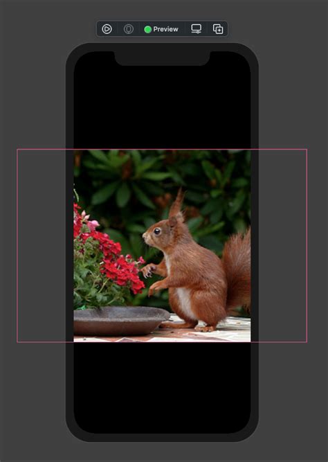 Swiftui Clip Shape Modifier On Images Serialcoderdev
