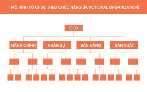 Tìm hiểu Quản lý theo chiều dọc chiều ngang trong quản trị nhân sự