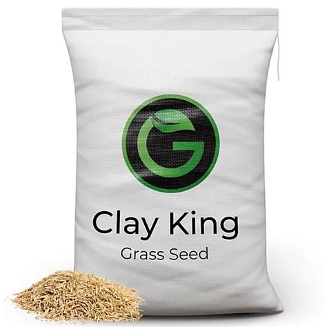 Shop Clay King Grass Seed For Clay Soil 5kg 70 200m²