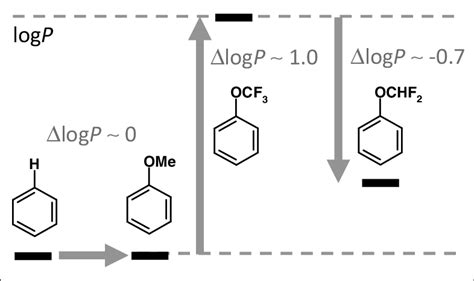 Experimental ∆logp Effects For Matched Molecular Pairs Of 24 Neutral Download Scientific
