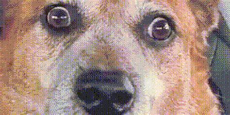 When I Join A Brainstorm Meeting With The Marketing Team The Coding