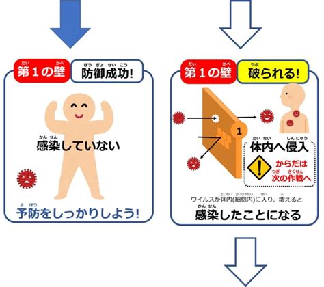 からだラボ特別展示その2『ウイルス Vs わたしたちのからだ』