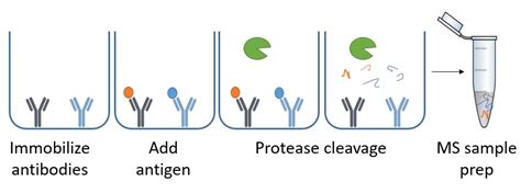 Commercial Hcp Elisa Kit For Host Cell Protein Analysis