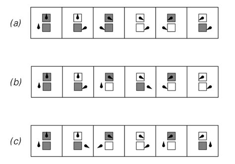 Universality In Turing Machines And Other Systems A New Kind Of Science Online By Stephen