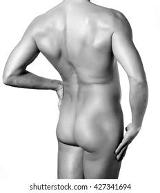 Naked Male Body Back Well Built Stock Photo 427341694 Shutterstock
