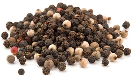 8 후추 열매 그림 무료 다운로드 사진 그림 및 배경 이미지 Pngtree