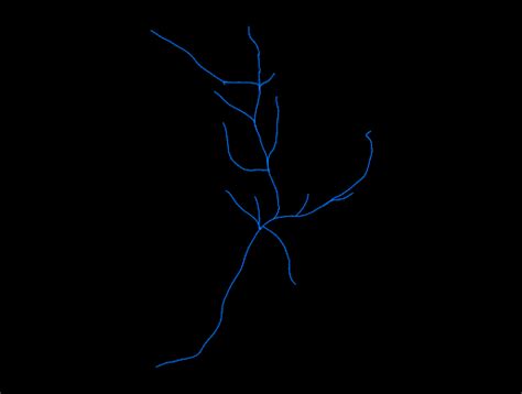 Detailed Cell Information Cure 9 24 40x Gfap Dapi Section 3 Ipsi 02