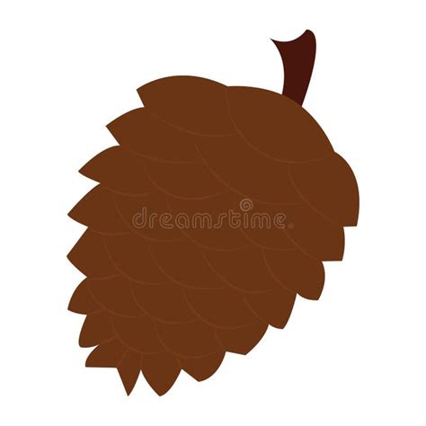 Isolated Autumn Pine Tree Seed Icon Vector Stock Vector Illustration
