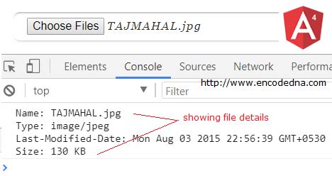 Get File Info Like Size Name And Type From Multiple File Input In
