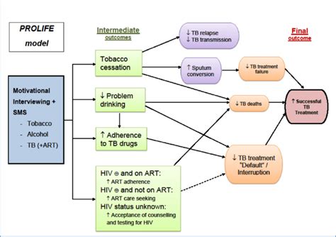 Conceptual Framework Of The Prolife Programme To Reduce Smoking And Download Scientific Diagram