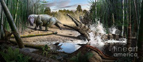 Julius Csotonyi Official Website