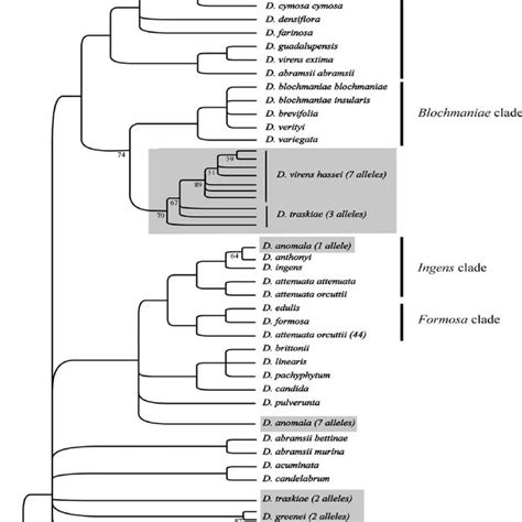 Bayesian Consensus Tree Of Itsets Sequences Bayesian Posterior