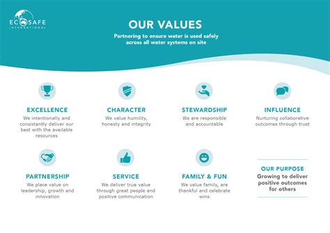 Ecosafe International - About us, our team and our services