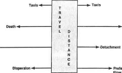 4 Schematic Representation Of The Role Of Biotic And Abiotic Processes