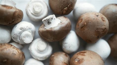 Cremini Mushrooms What Are They At Zoe Nanya Blog