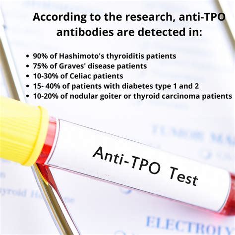 High Tpo Antibodies During Pregnancy At Antoinette Roy Blog