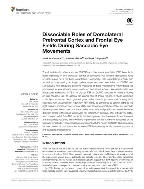 Pdf Dissociable Roles Of Dorsolateral Prefrontal Cortex And Frontal