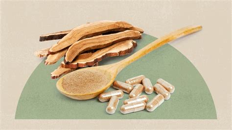 Top 8 Best Mushroom Extract Supplements In 2025