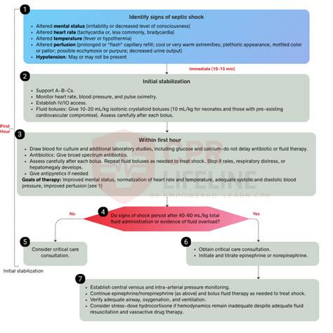 Pals Septic Shock Algorithm Cpr Lifeline