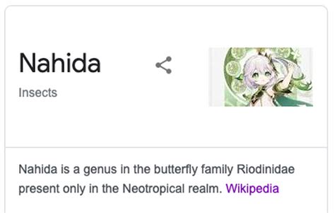 Nahida Insect Fandom
