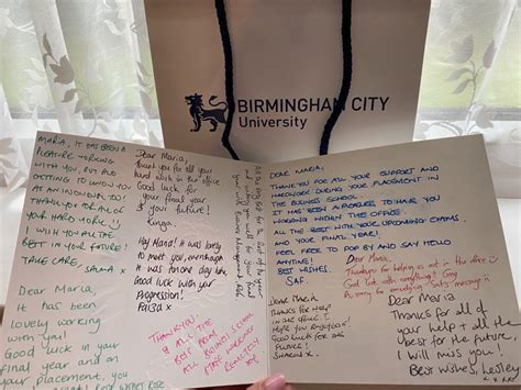 Maria Elisabeta Vaduva On Linkedin Team Work Placement