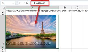 The Picture Function In Excel