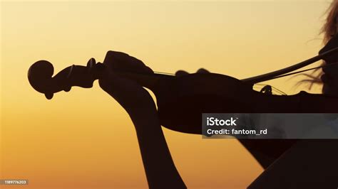 여성의 손에 나무 바이올린의 실루엣 일몰 하늘에 현악기의 그림 음악과 예술의 개념 바이올린 연주자에 대한 스톡 사진 및 기타 이미지 바이올린 연주자 야외