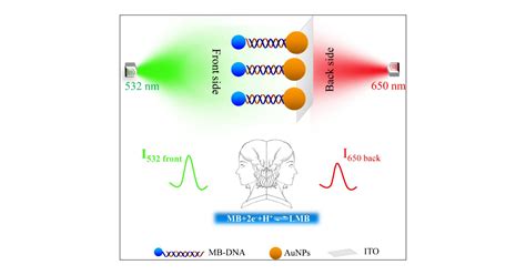 Wavelength Resolved Janus Biosensing Interface For Ratiometric