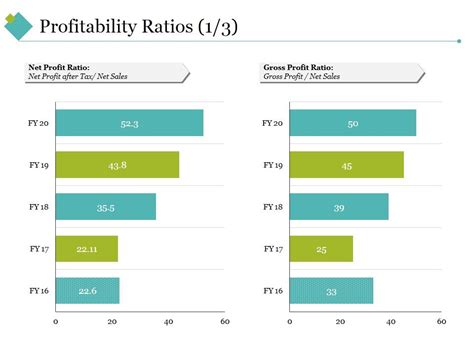 Profitability Ratios Template 1 Ppt Powerpoint Presentation Infographic Tem
