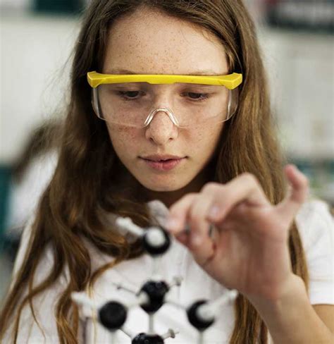 Science And Technology Entry Program Home Hofstra University