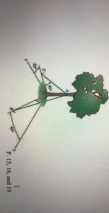 Solved Can Someone Show Me Step By Step How To Calculate The Chegg Com