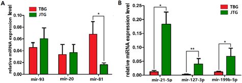Validation Of Sequencing Results By Rt Qpcr A A Bar Graph Showing Download Scientific