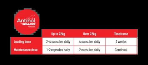 Antinol Rapid Eab 277 For Dogs 60 Capsules Barking Good Antinol Rapid Eab 277 For Dogs 60 Capsules Barking Good