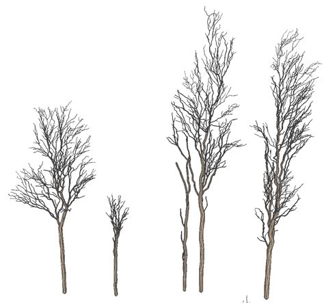 Github Csiro Robotics Treetools Command Line Tools For Manipulating