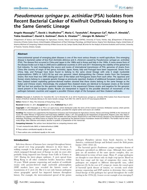 Pdf Pseudomonas Syringae Pv Actinidiae Psa Isolates From Recent Bacterial Canker Of